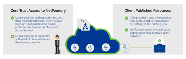 SolarWinds Managed Services - L1M3 Services - Loop1